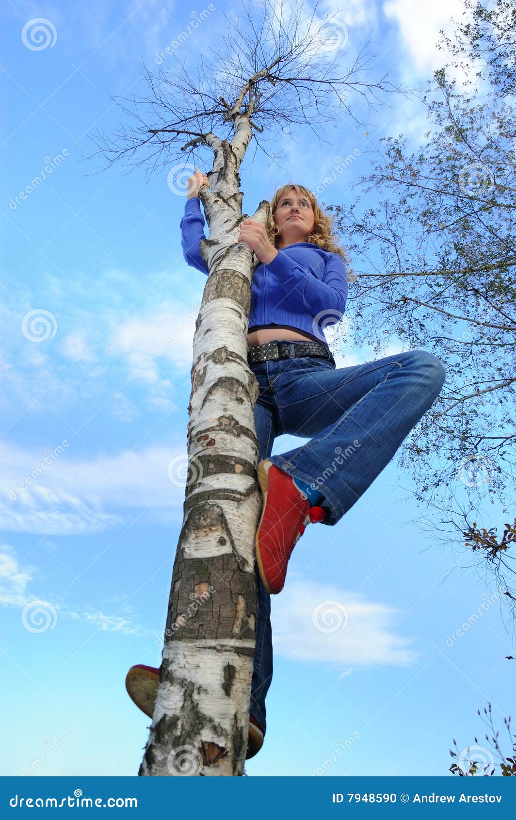 The girl on a tree stock photo. Image of climbed, teens - 7948590