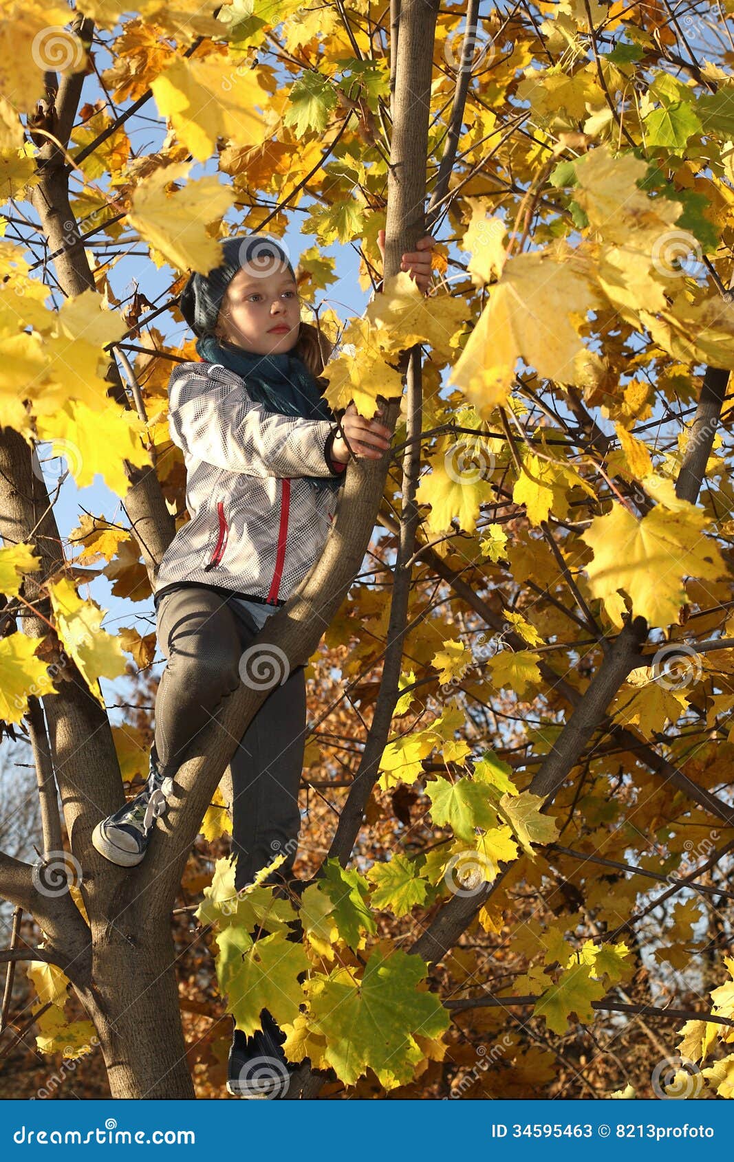 Girl in a tree stock image. Image of caucasian, garden - 34595463