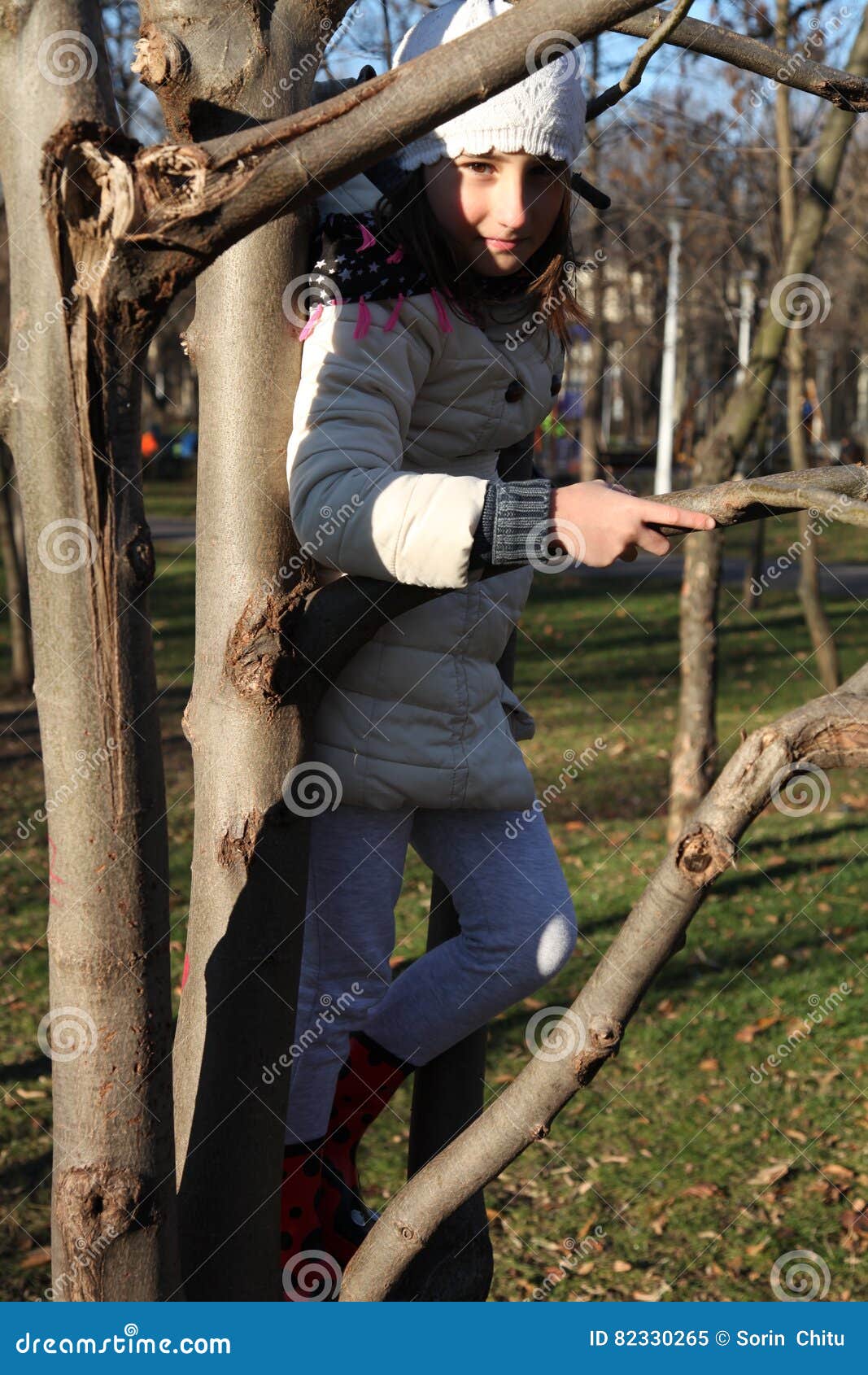 A girl in a tree stock image. Image of climbing, park - 82330265