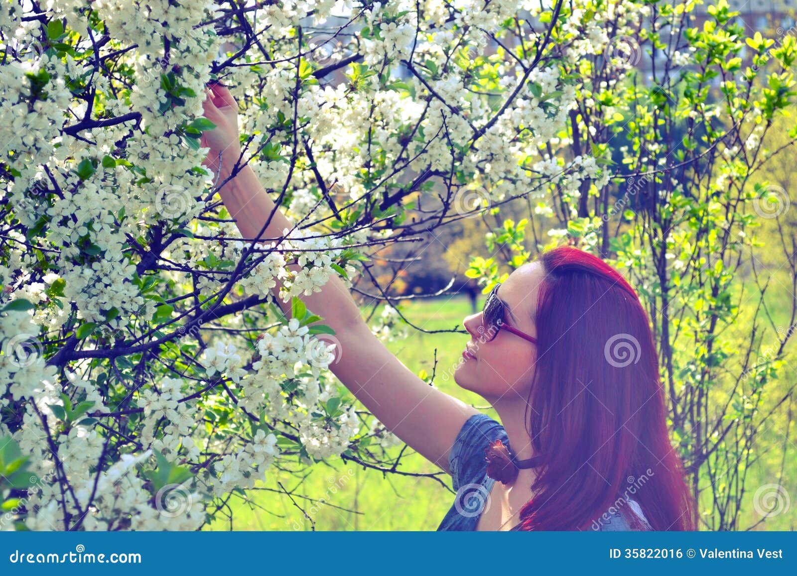 Girl and tree stock photo. Image of tree, white, girl - 35822016