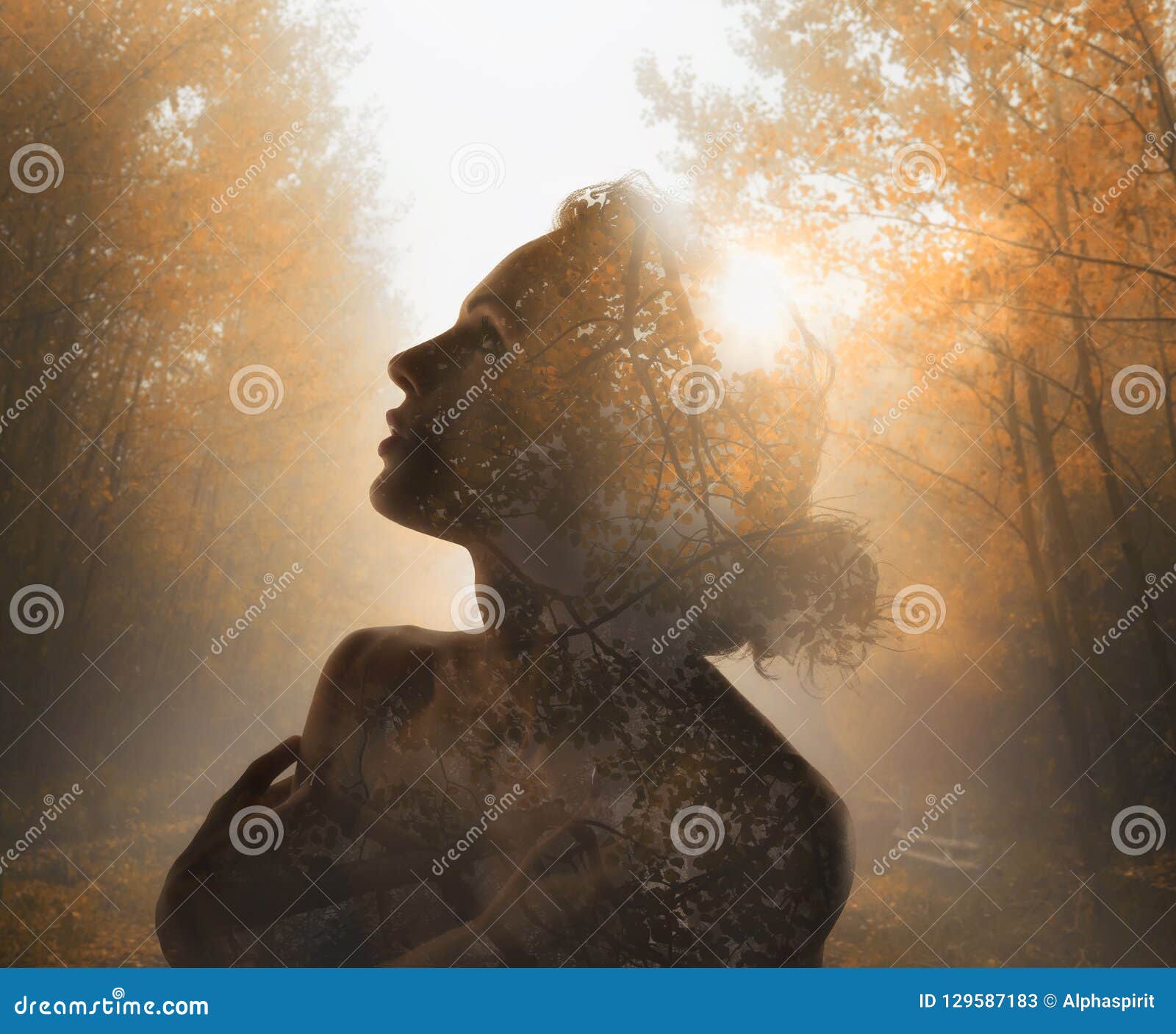 Girl with Tree Inside. Concept of Autumn. Double Exposure Stock Image ...