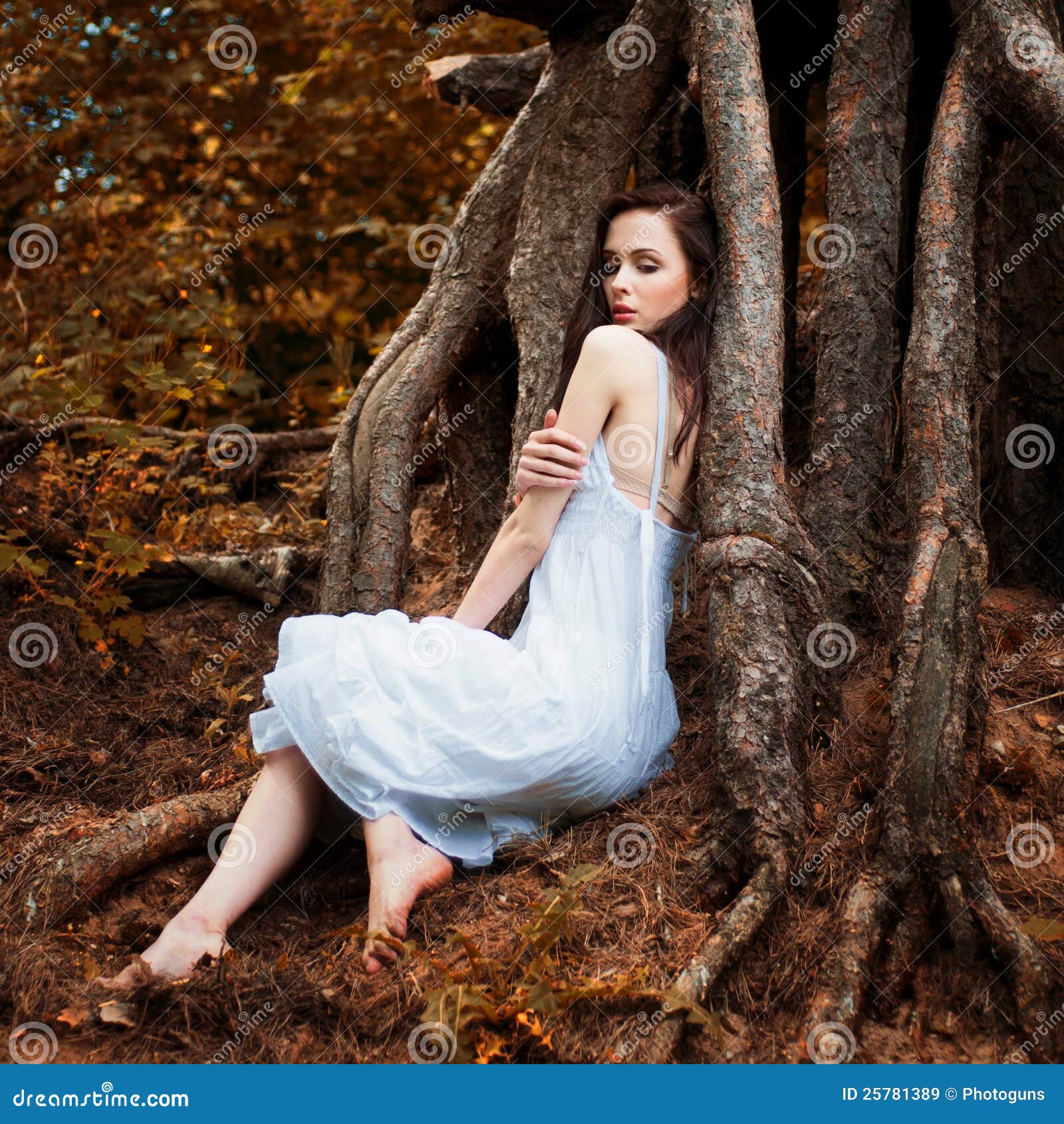 Girl in a tree s root stock image. Image of model, carefree - 25781389