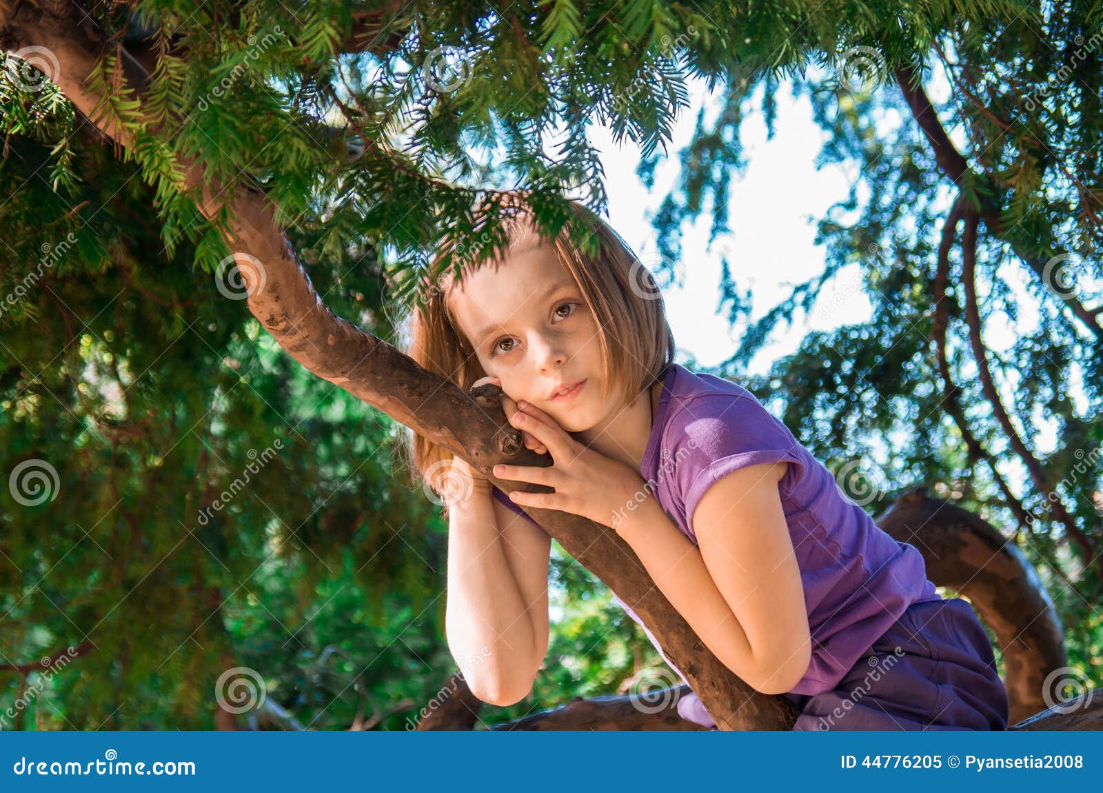 Girl on the tree. stock image. Image of cute, children - 44776205