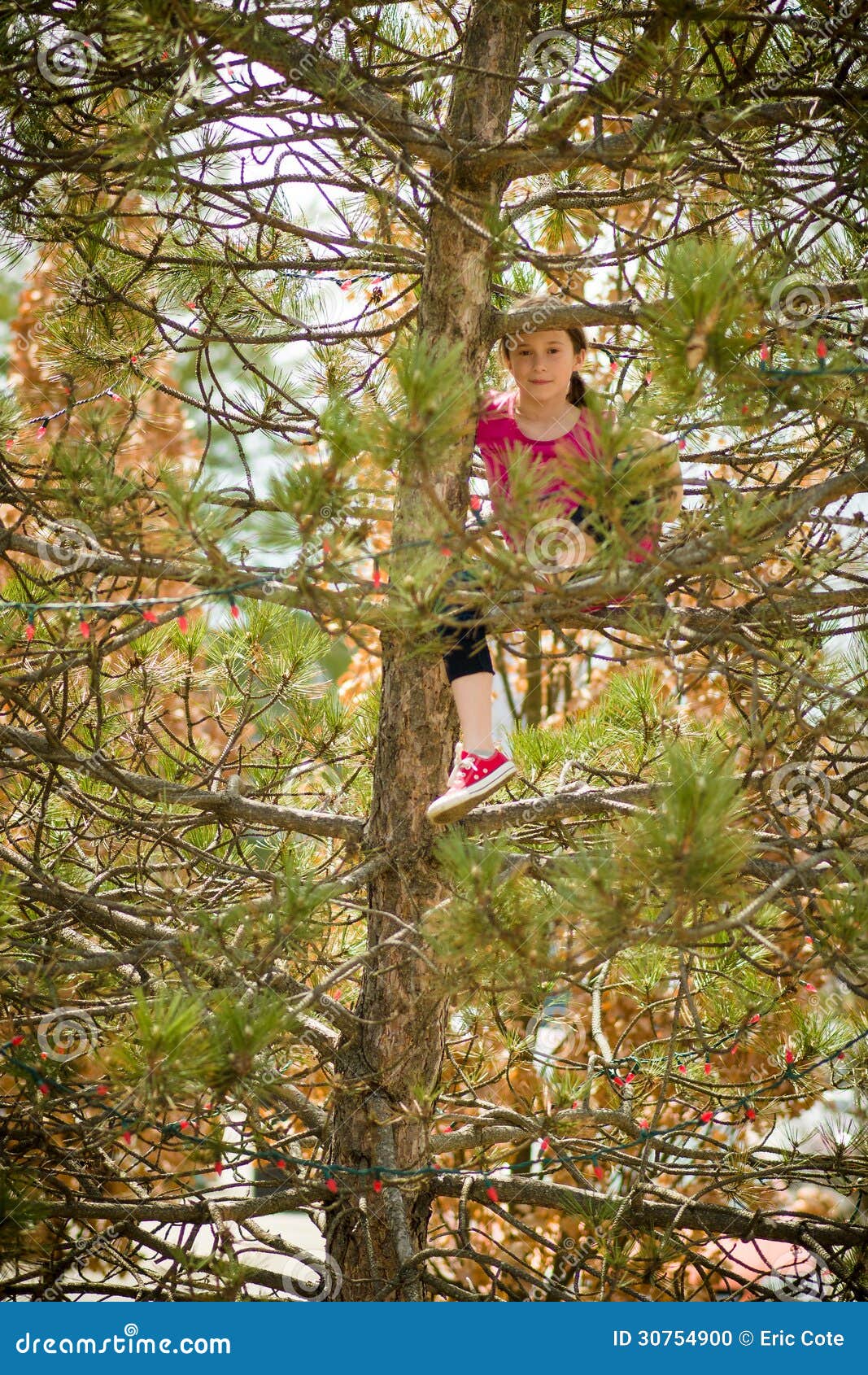 Girl in a tree stock photo. Image of sitting, child, playing - 30754900