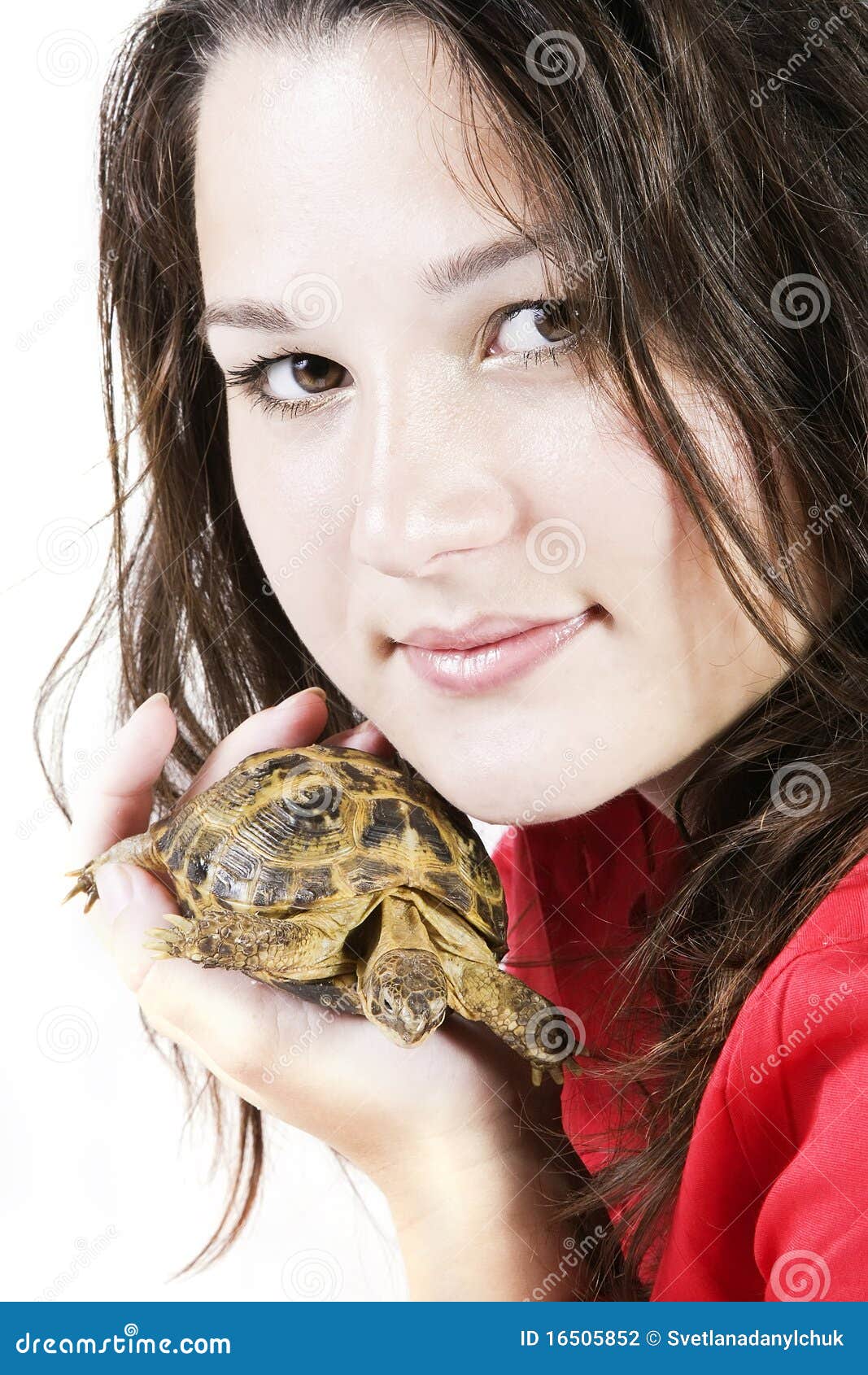 Girl with turtle stock photo. Image of young, female - 16505852