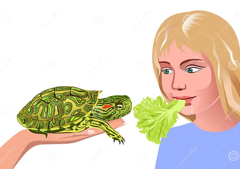Girl and turtle stock illustration. Illustration of baby - 77441907