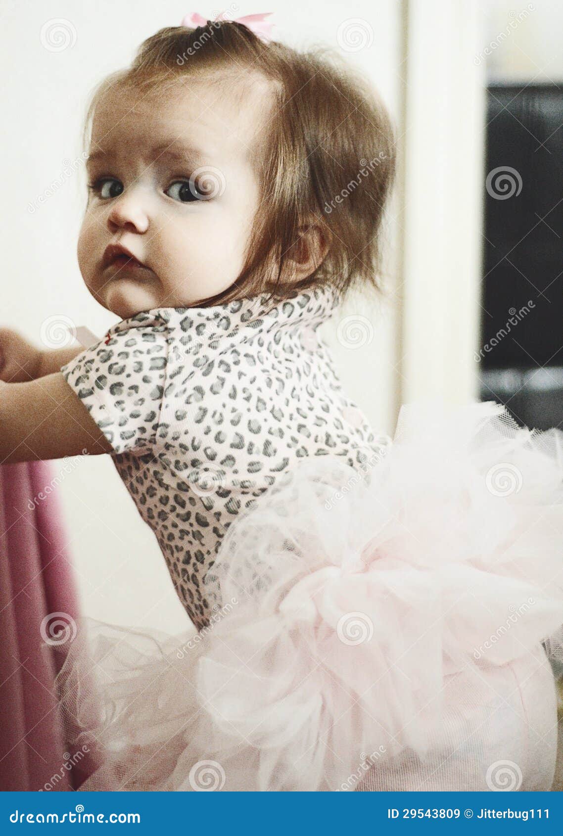 Girl in tutu stock image. Image of tutu, beauty, beautiful - 29543809