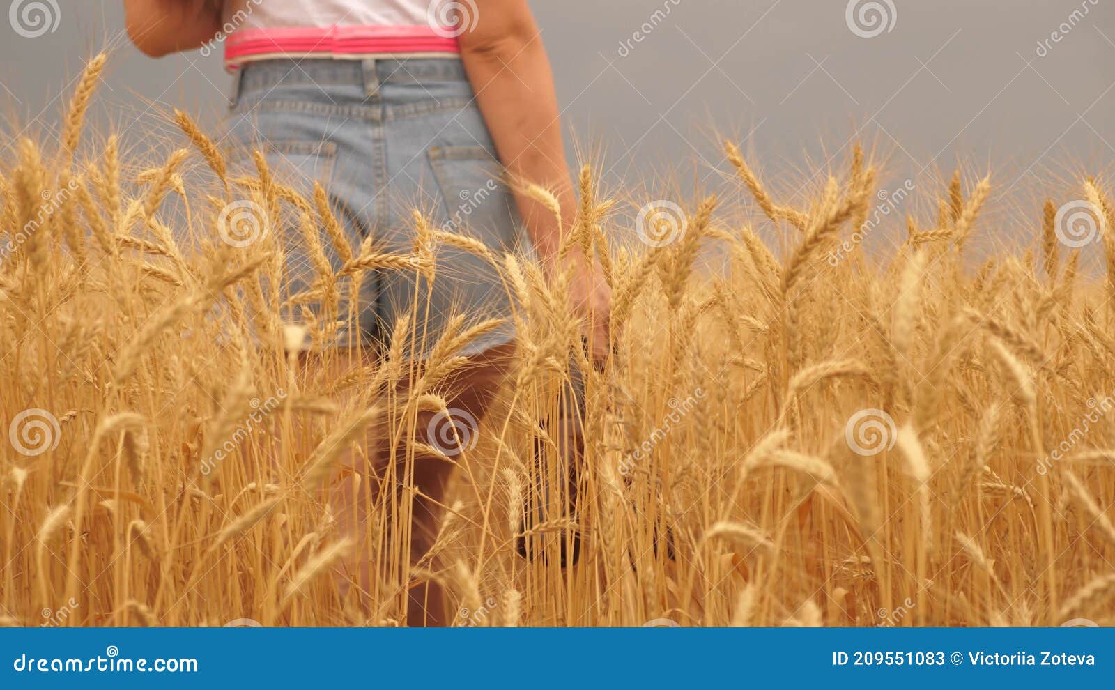 Girl with Two Bottles of Beer Walks Across a Wheat Field. Delicious Low ... Girl with Two Bottles of Beer Walks Across a Wheat Field. Delicious Low ...