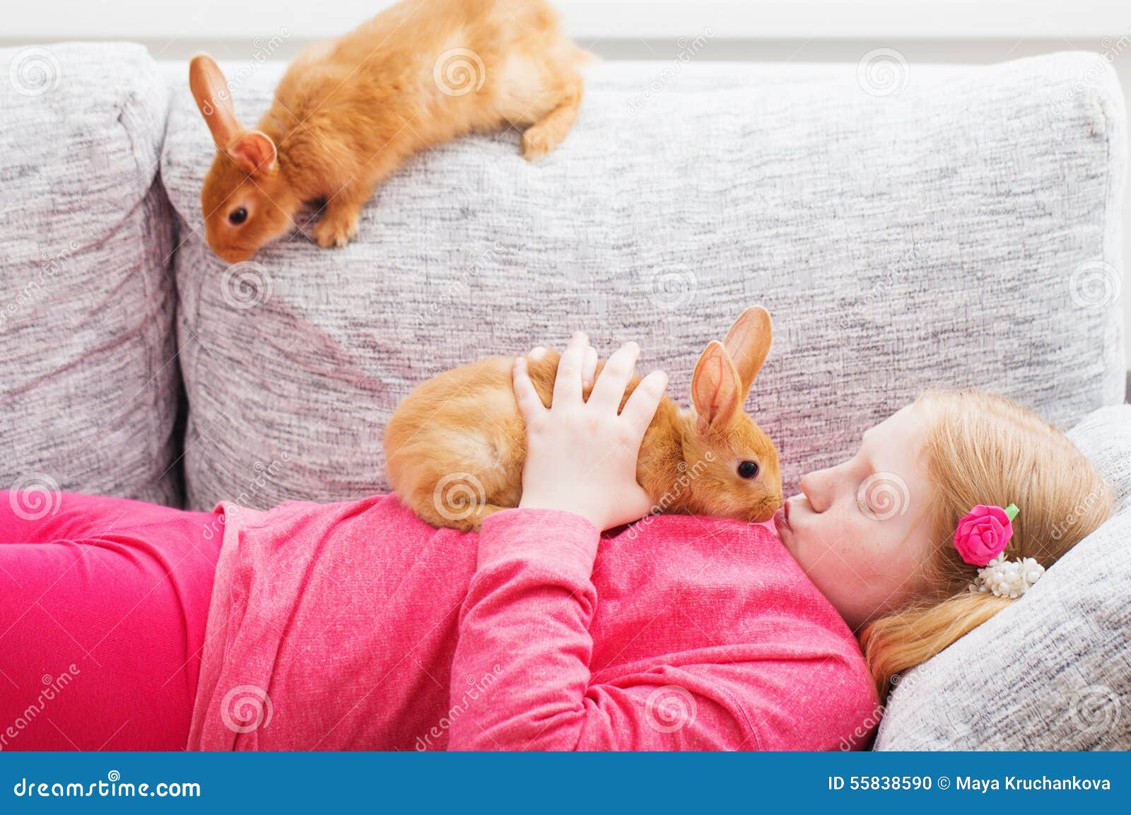Girl with two rabbits stock photo. Image of pets, person - 55838590