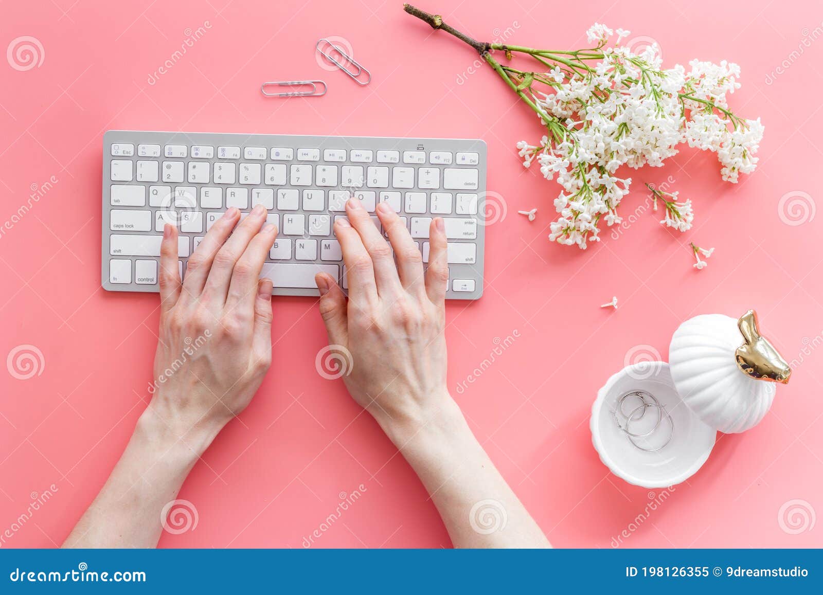Girl Typing on Computer Keyboard Bright Office Space with Flowers ...