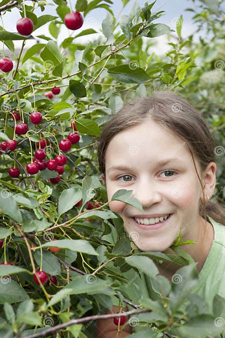 Girl under the cherry tree stock image. Image of vegetarian - 20384817