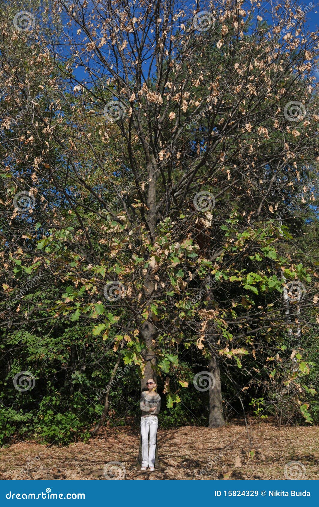 Girl under oak tree stock image. Image of female, tree - 15824329