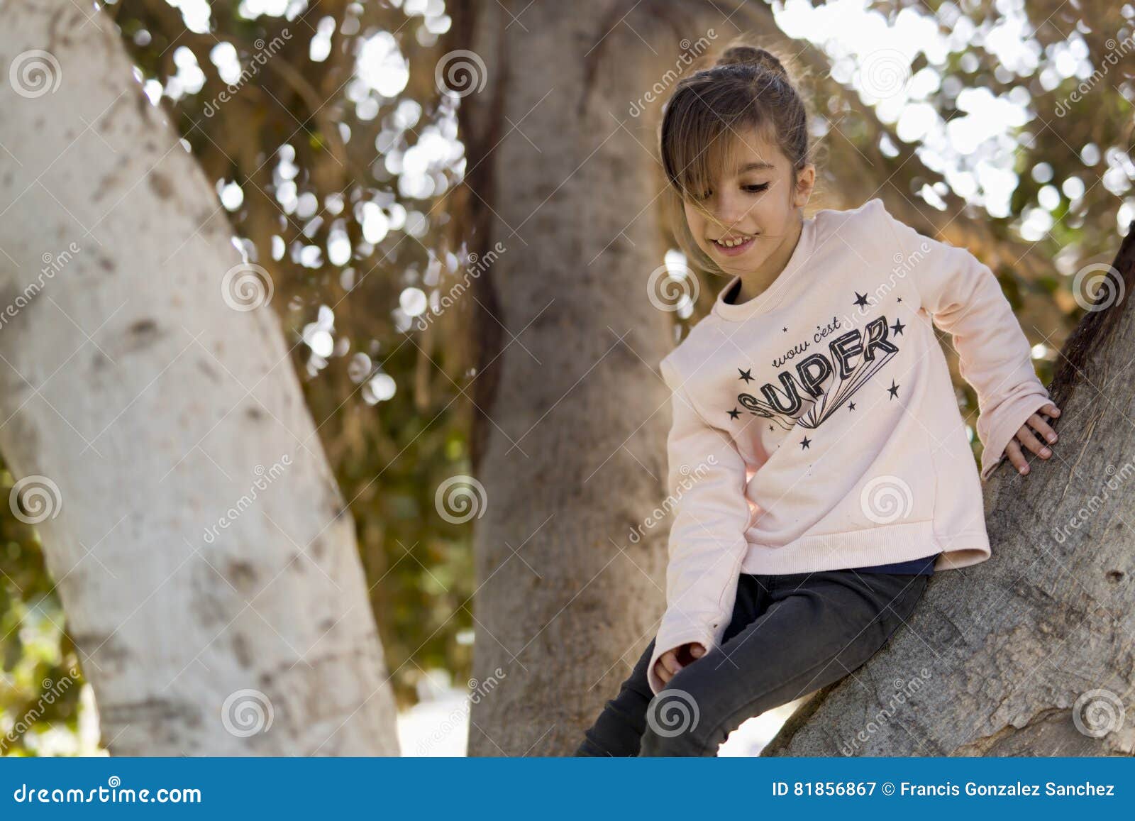 Girl up in a tree. stock image. Image of open, outdoors - 81856867