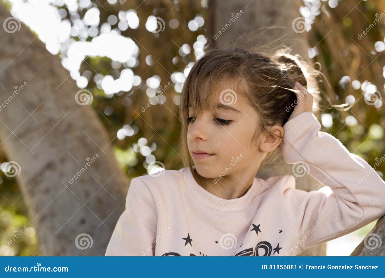 Girl up in a tree. stock image. Image of girl, outdoors - 81856881