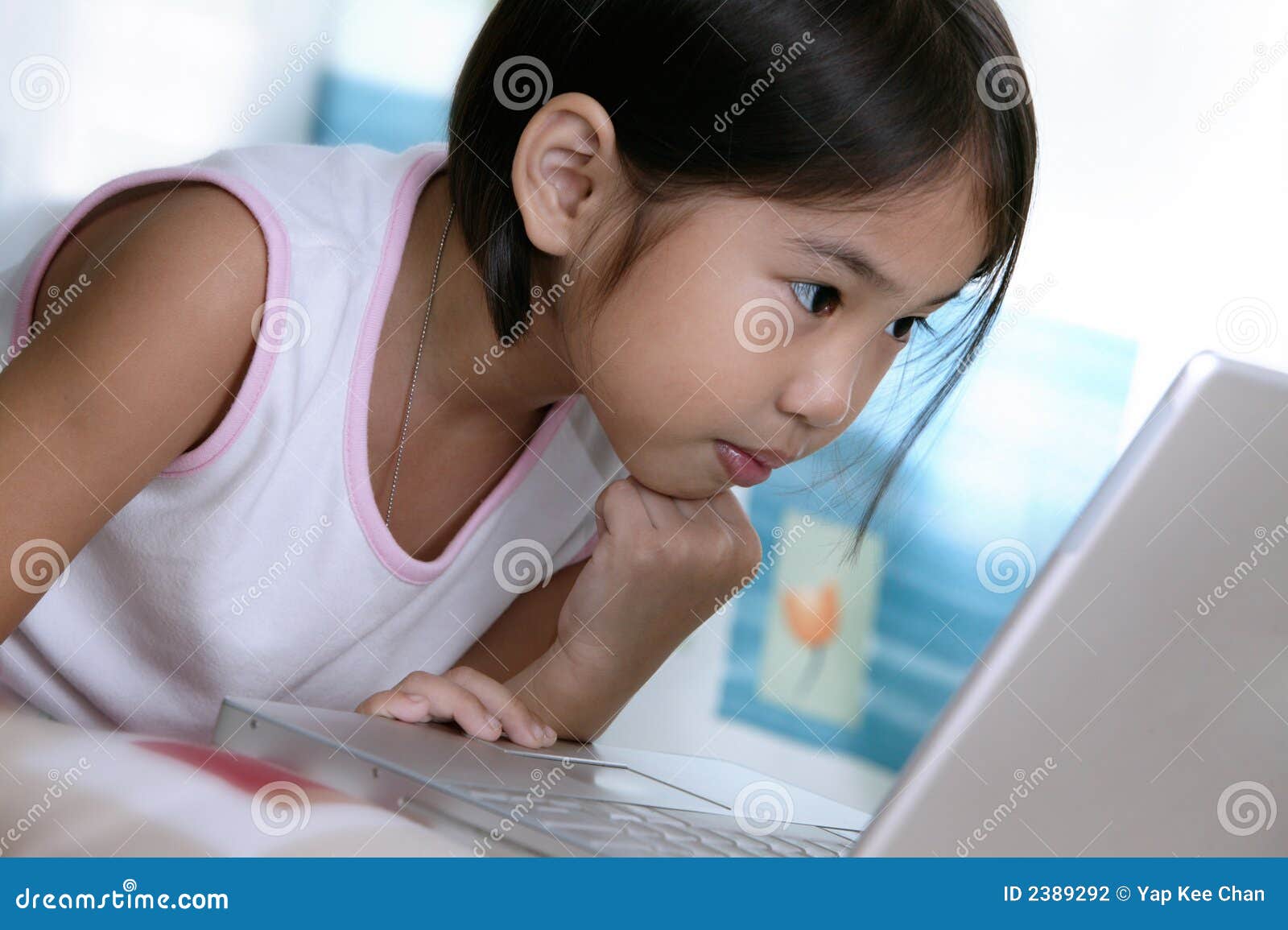 Girl using laptop stock photo. Image of look, studying - 2389292