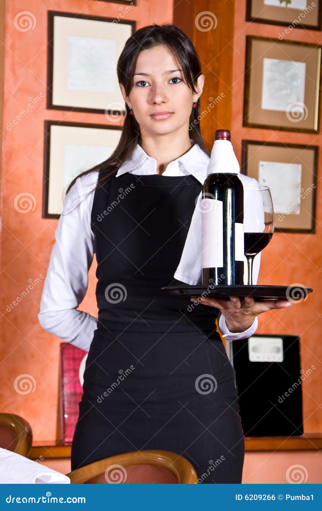 A Female Waiter with Wine on a Tray Stock Photo - Image of white ...