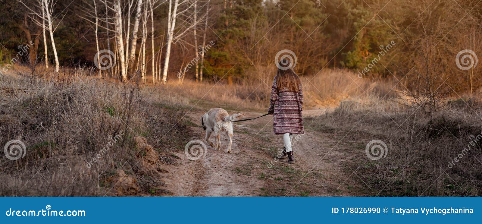 Girl Walking with Dog at Sunset Stock Photo - Image of beautiful ...
