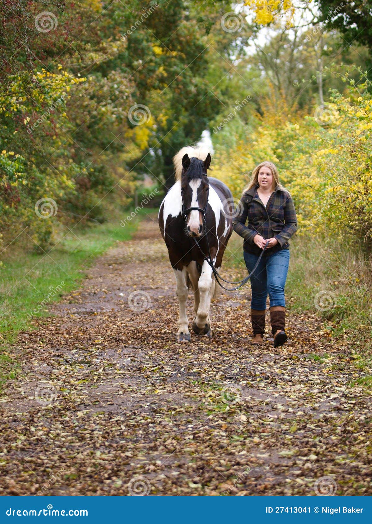 Girl Walking with Horse stock image. Image of colour - 27413041