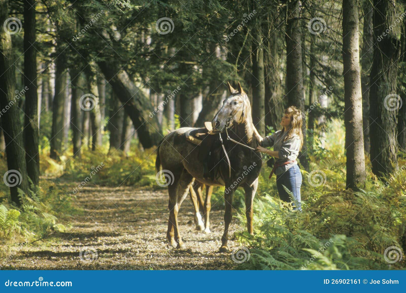 Girl walking horse on path editorial photo. Image of walk - 26902161