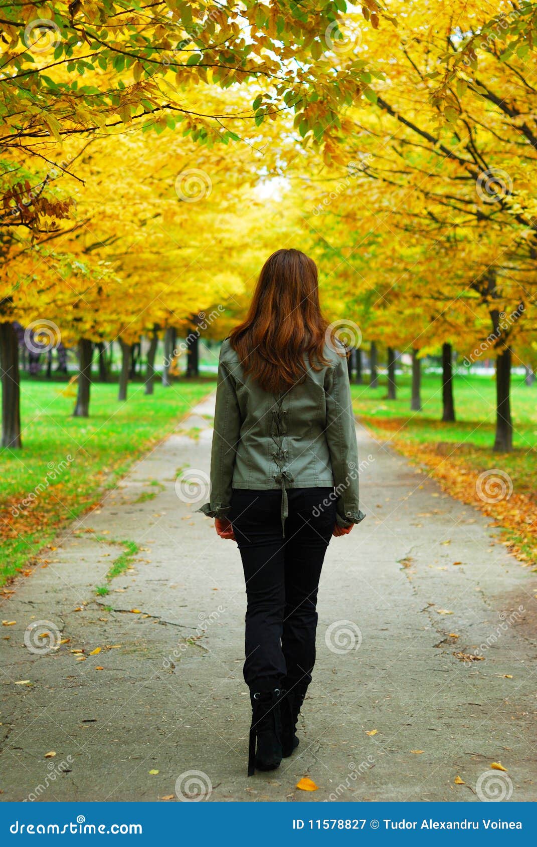 Girl walking through life stock image. Image of autumn - 11578827