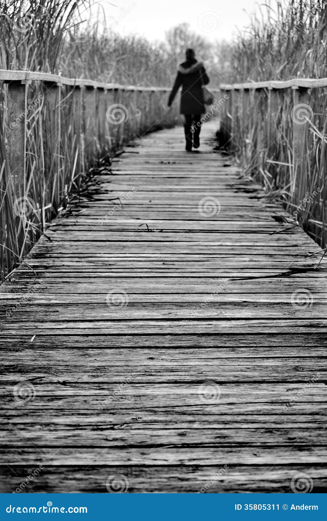 Girl walking on a path stock image. Image of outdoor - 35805311