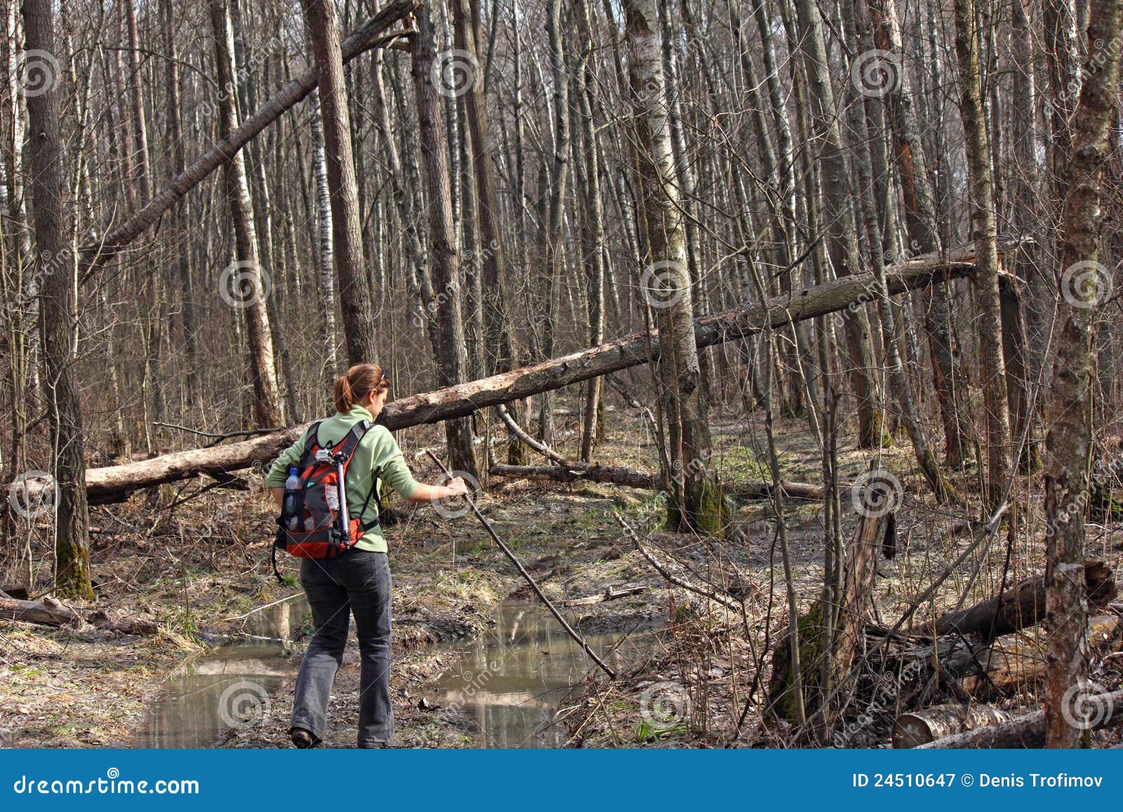 A Girl Walking through the Swamp in the Woods Stock Image - Image of ...