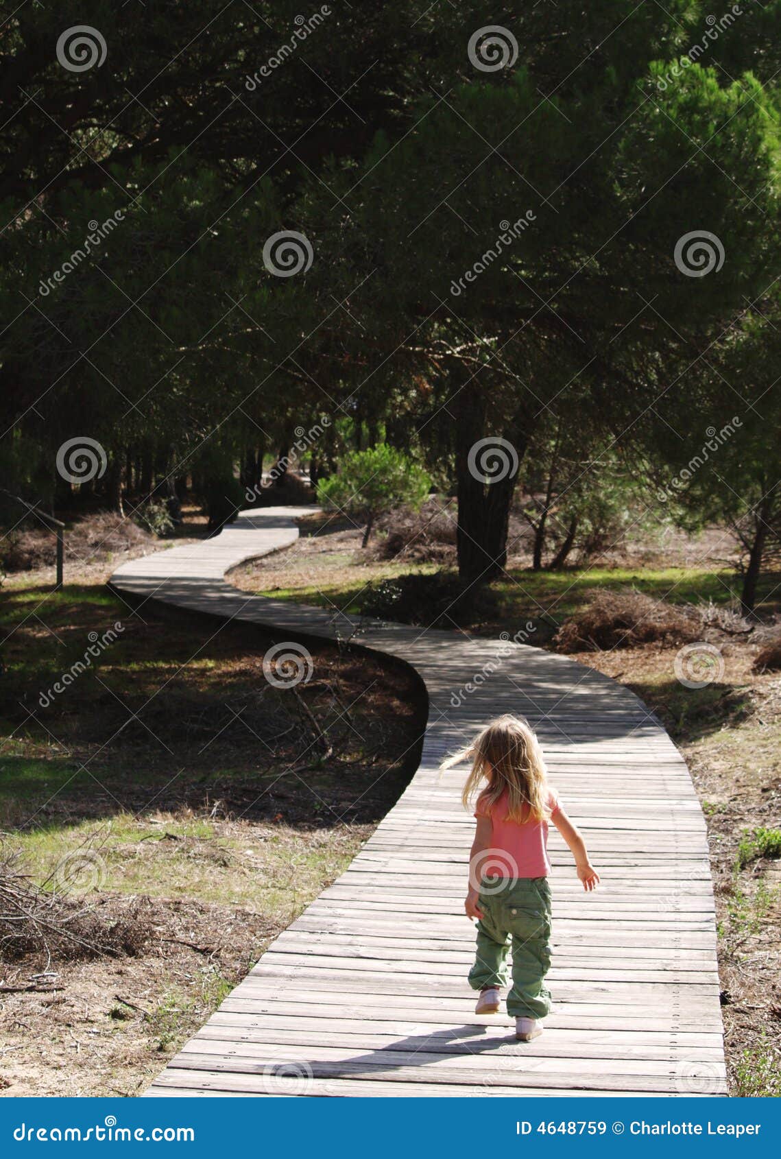 Girl Walking Down A Path