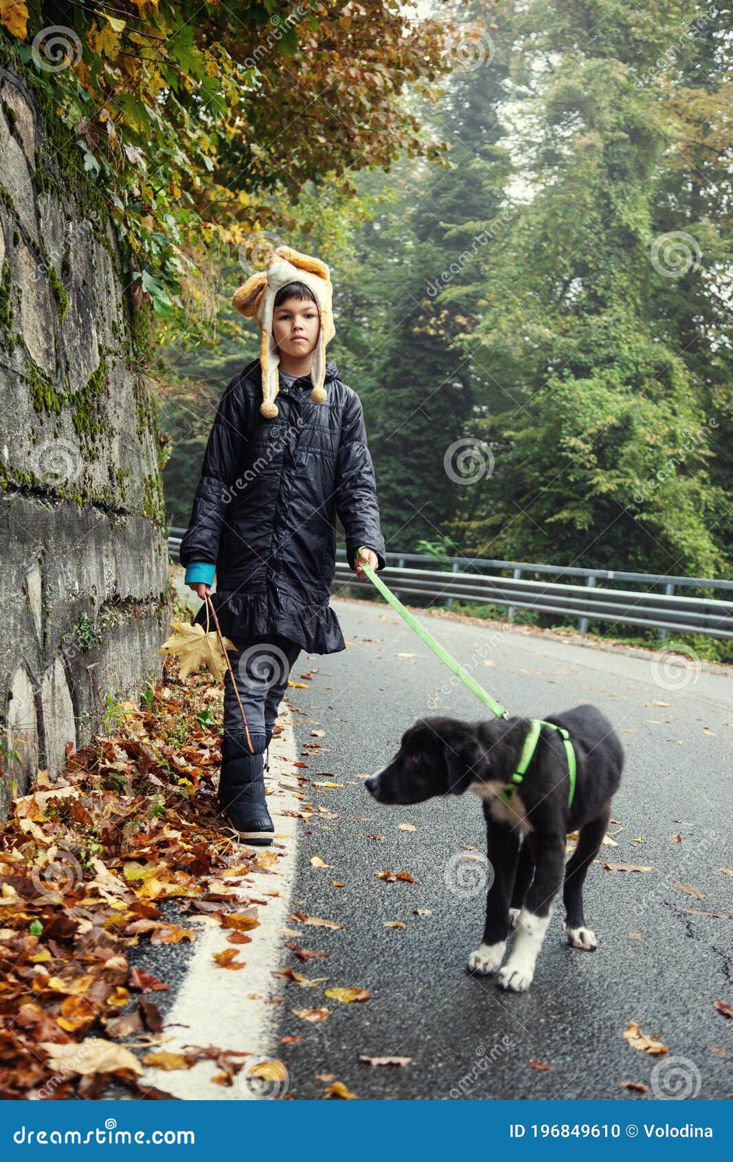 Girl Walks with a Dog in the Autumn Forest Stock Photo - Image of ...