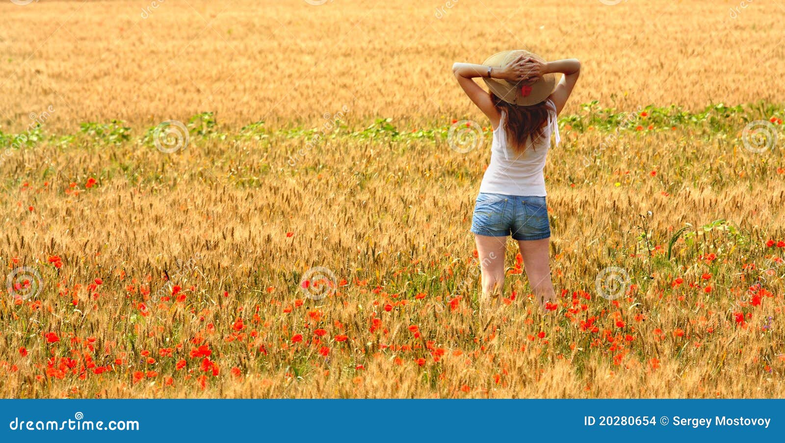 Girl on a wheat field stock photo. Image of color, freedom - 20280654