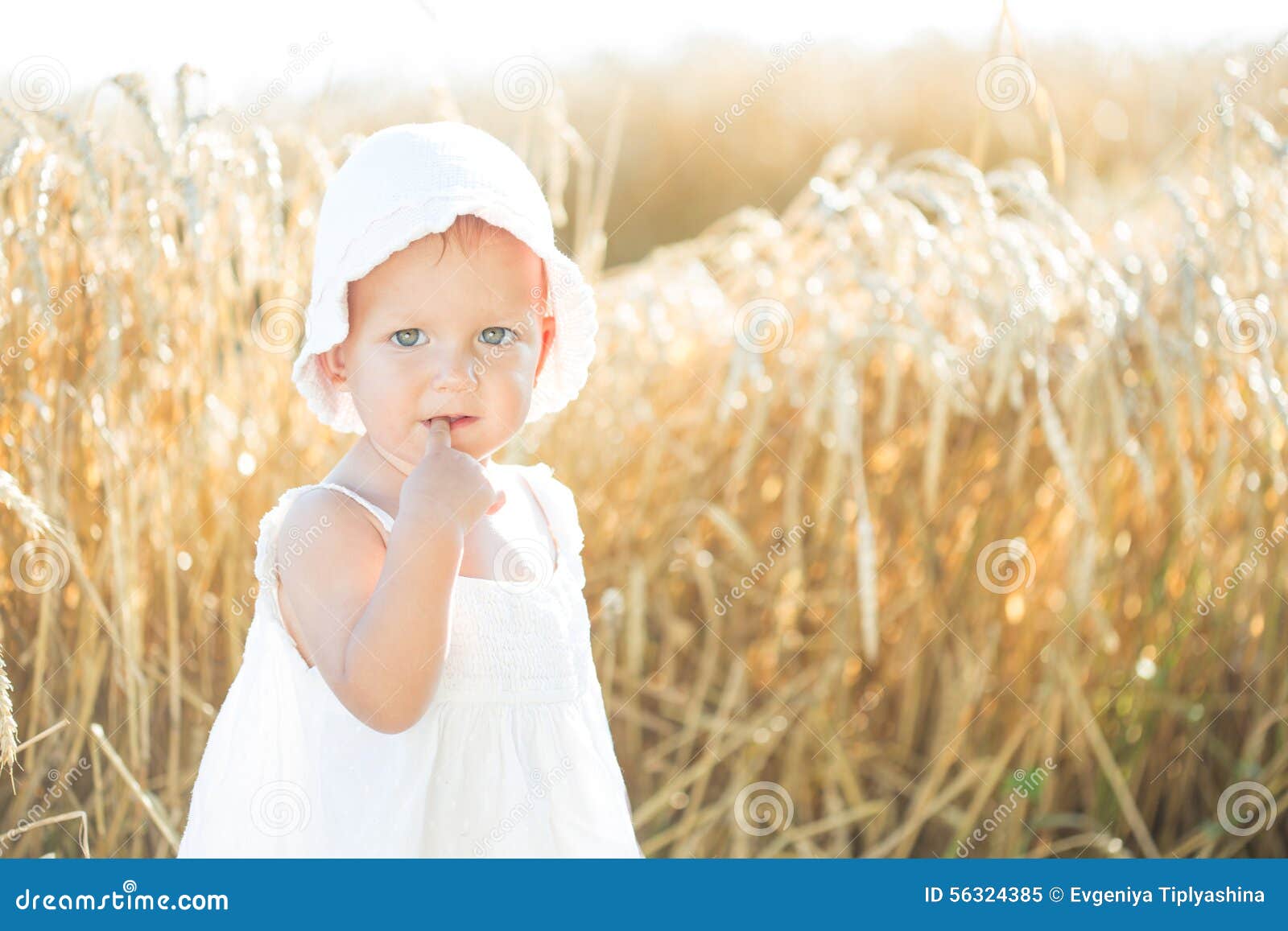 Girl in a wheat field stock image. Image of autumn, kids - 56324385