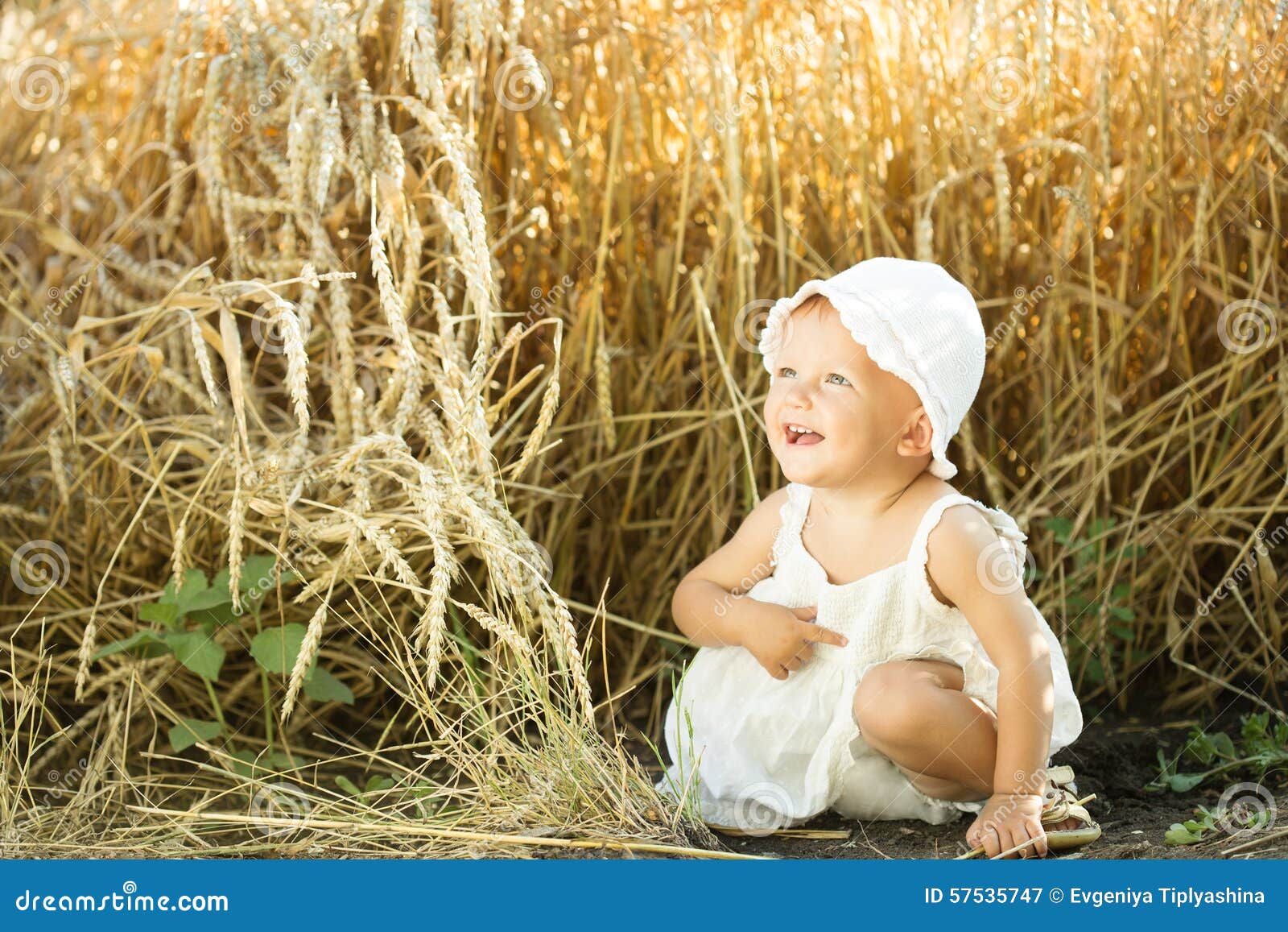 Girl in a wheat field stock image. Image of beautiful - 57535747