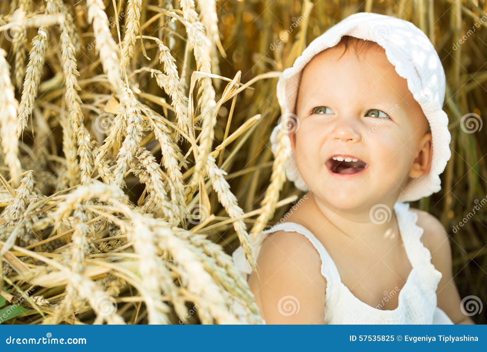 Girl in a wheat field stock image. Image of farming, cereal - 57535825