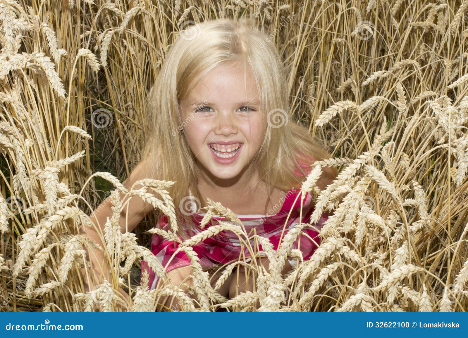 Girl in wheat stock photo. Image of people, rural, bizarre - 32622100