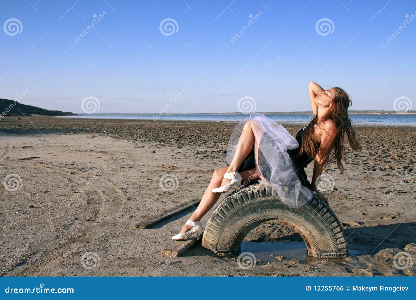 Girl on the wheel stock photo. Image of pose, space, happy - 12255766