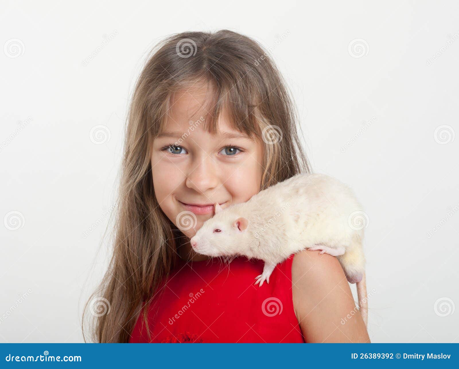 Girl with a White Domestic Rat Stock Photo - Image of girls, albino ...