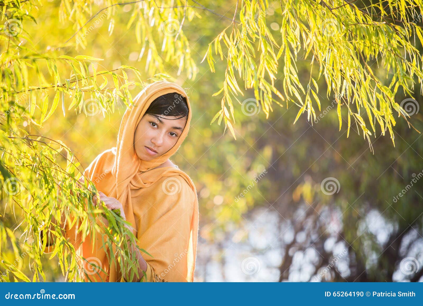 Girl and a willow tree stock photo. Image of teen, religious - 65264190