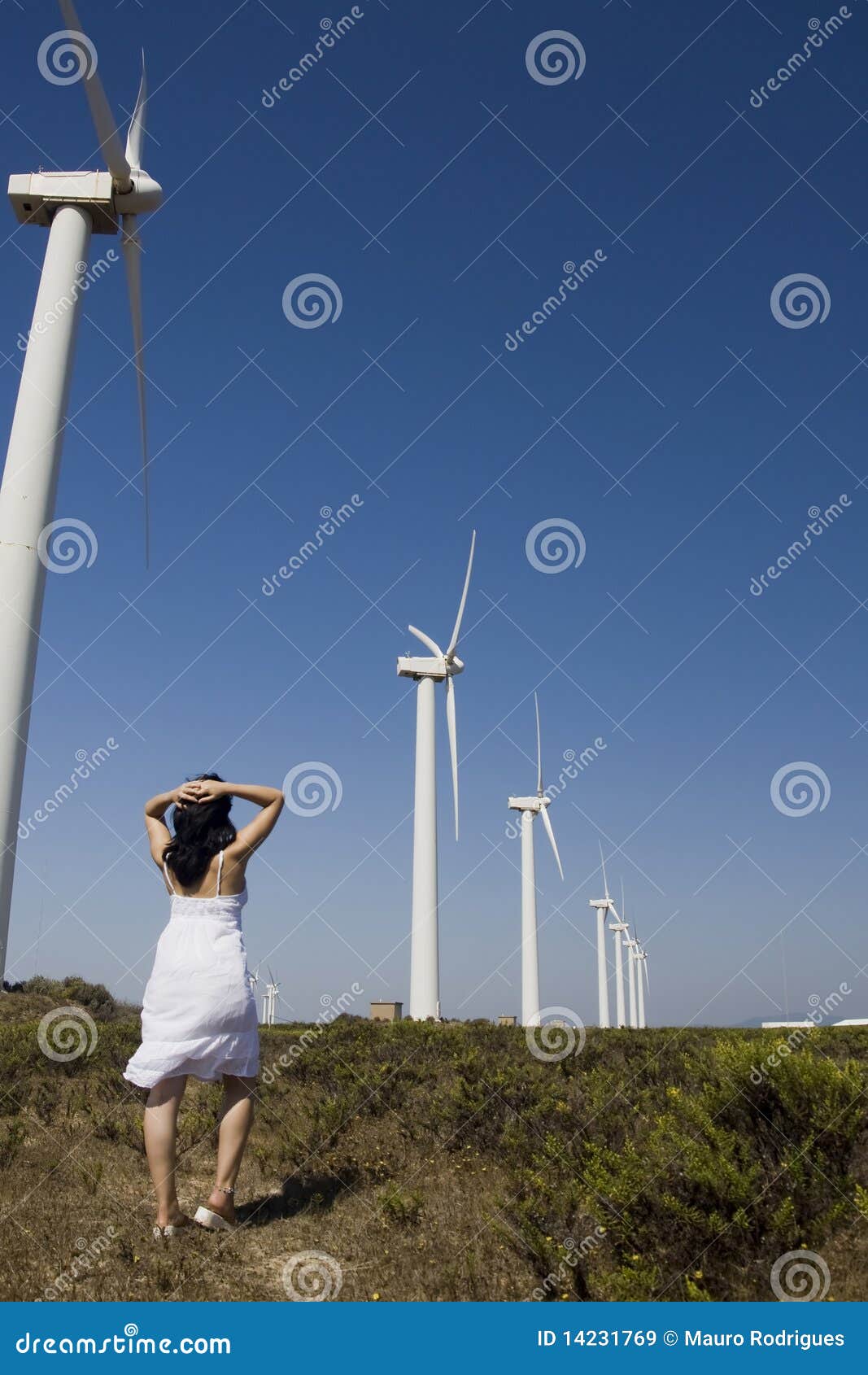 Girl and the windmill stock image. Image of environment - 14231769