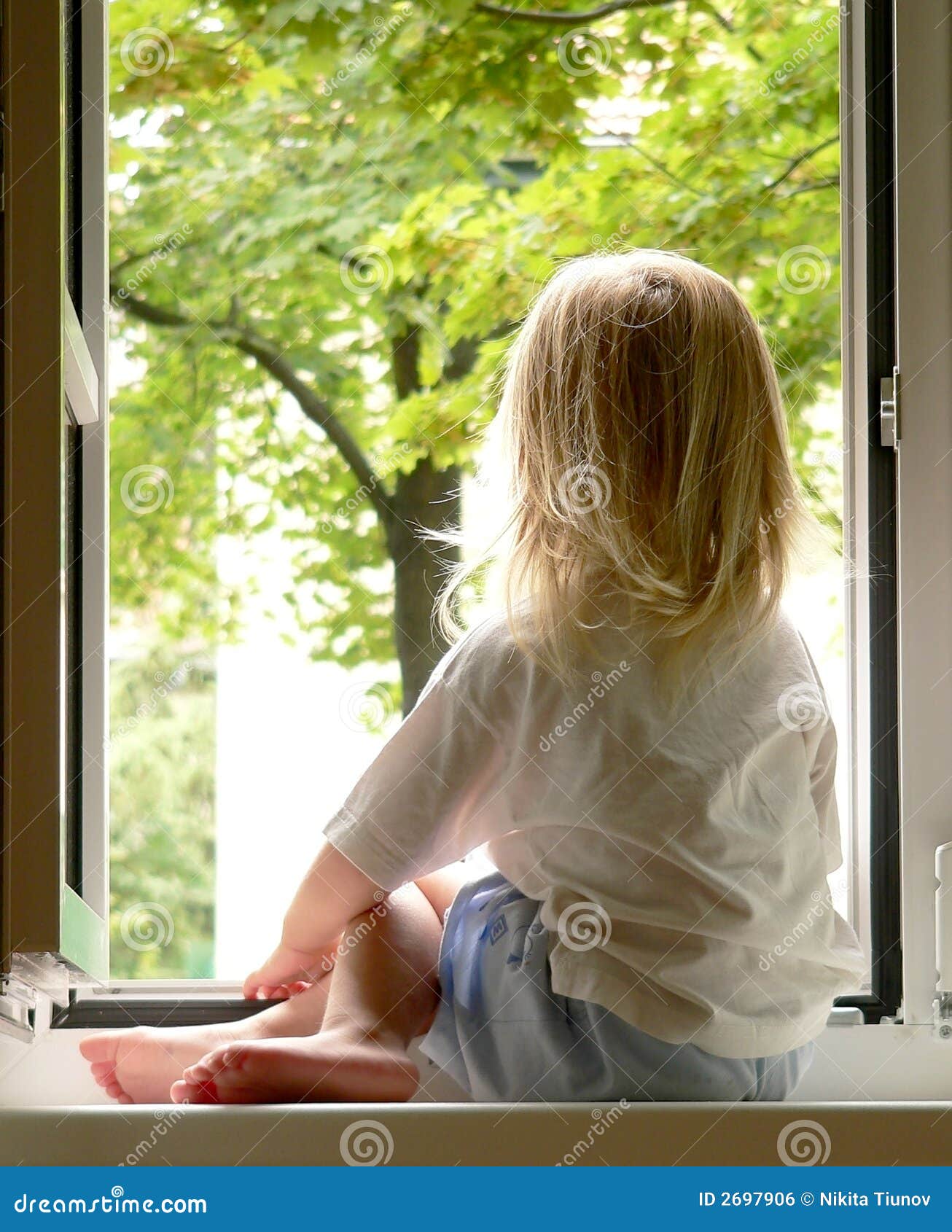 Girl in the window stock photo. Image of girl, green, calmness - 2697906