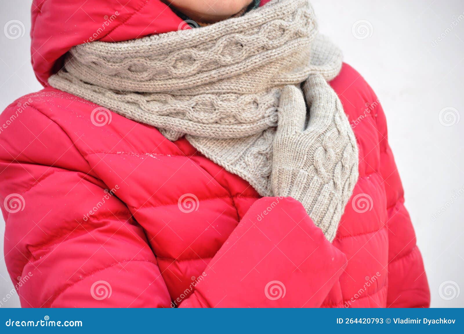 Girl in winter clothes stock image. Image of frozen - 264420793