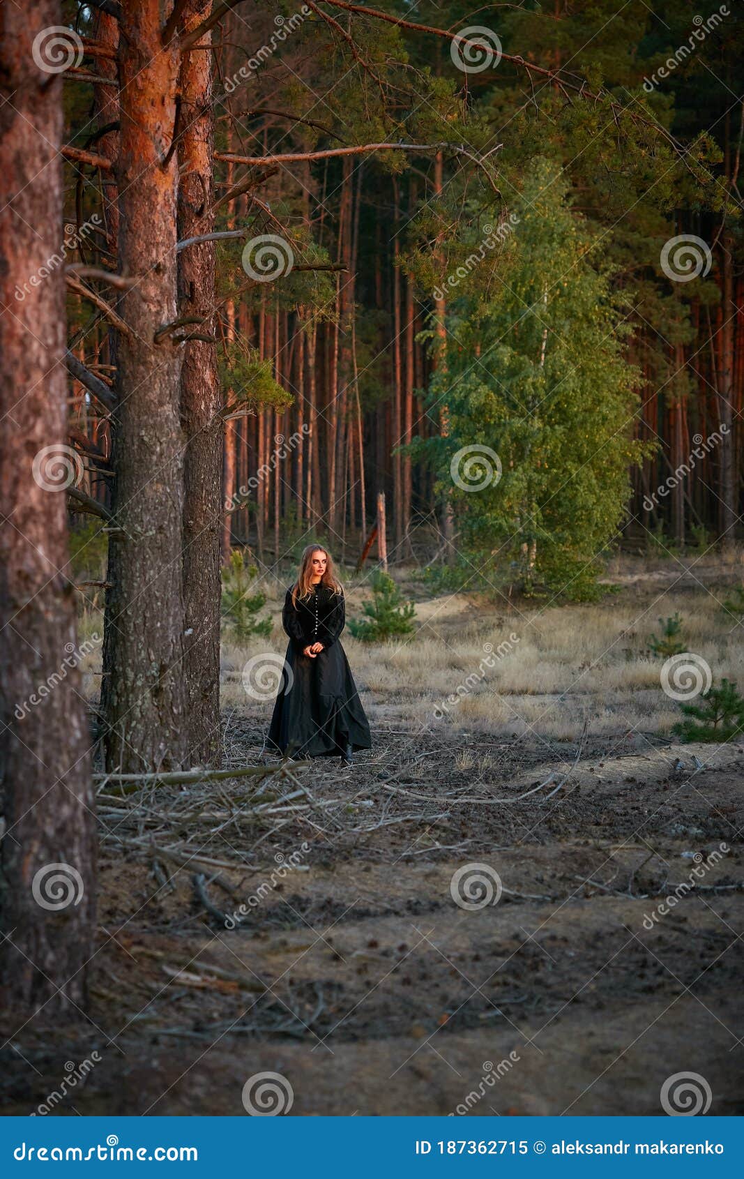Girl Witch Witch in a Dark Pine Forest Stock Image - Image of horror ...