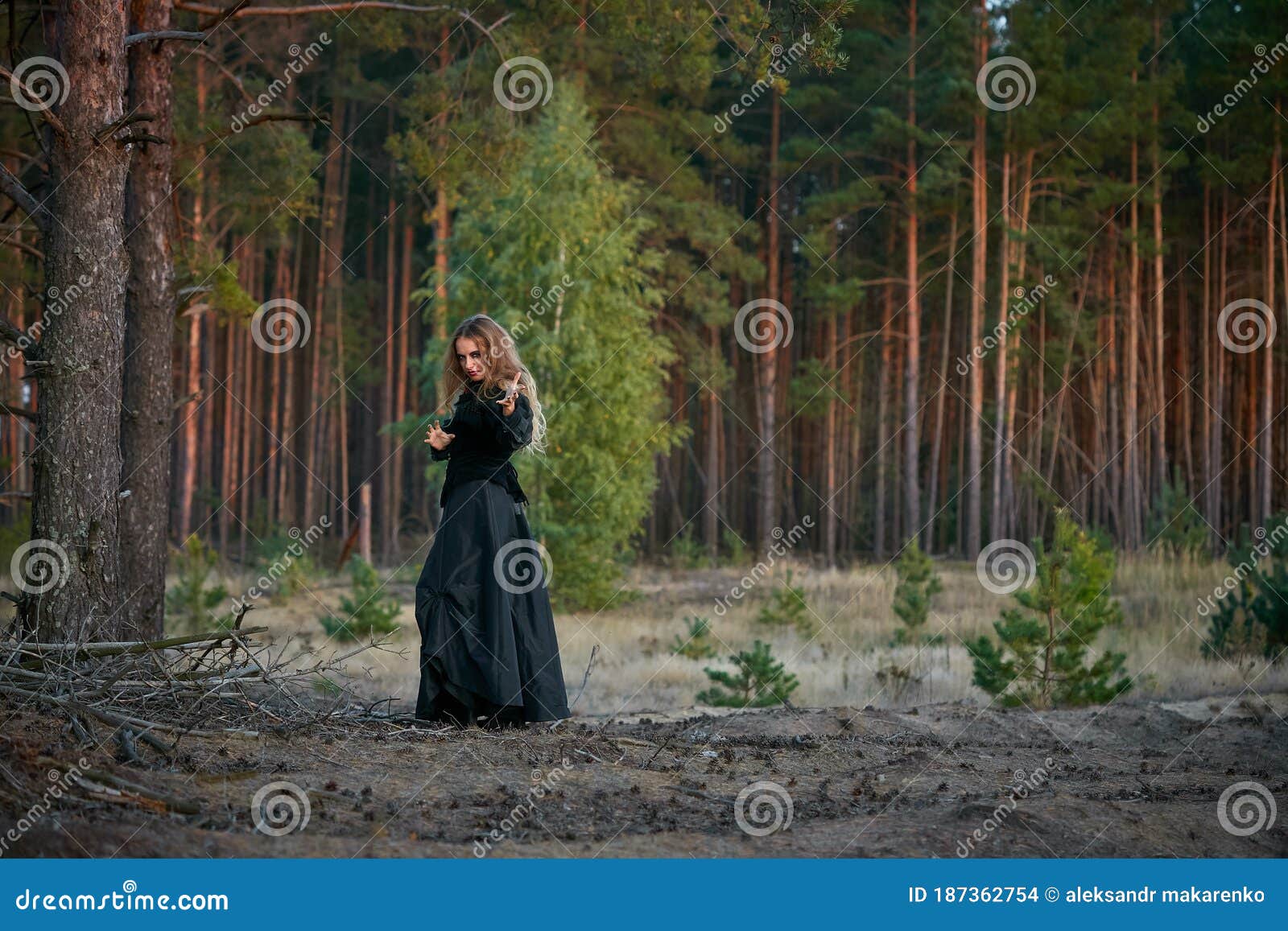 Girl Witch Witch in a Dark Pine Forest Stock Photo - Image of angry ...