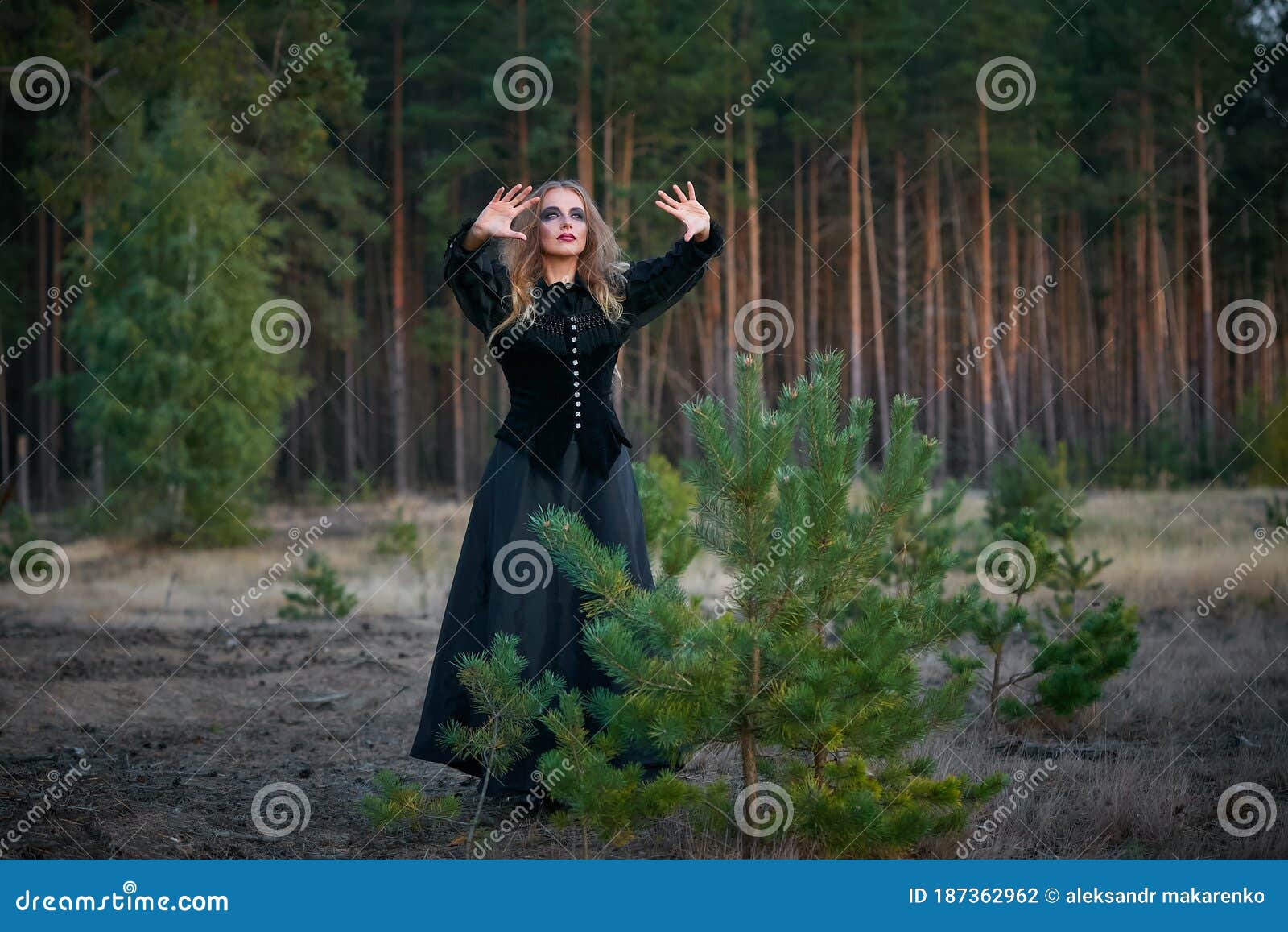 Girl Witch Witch in a Dark Pine Forest Stock Photo - Image of ...