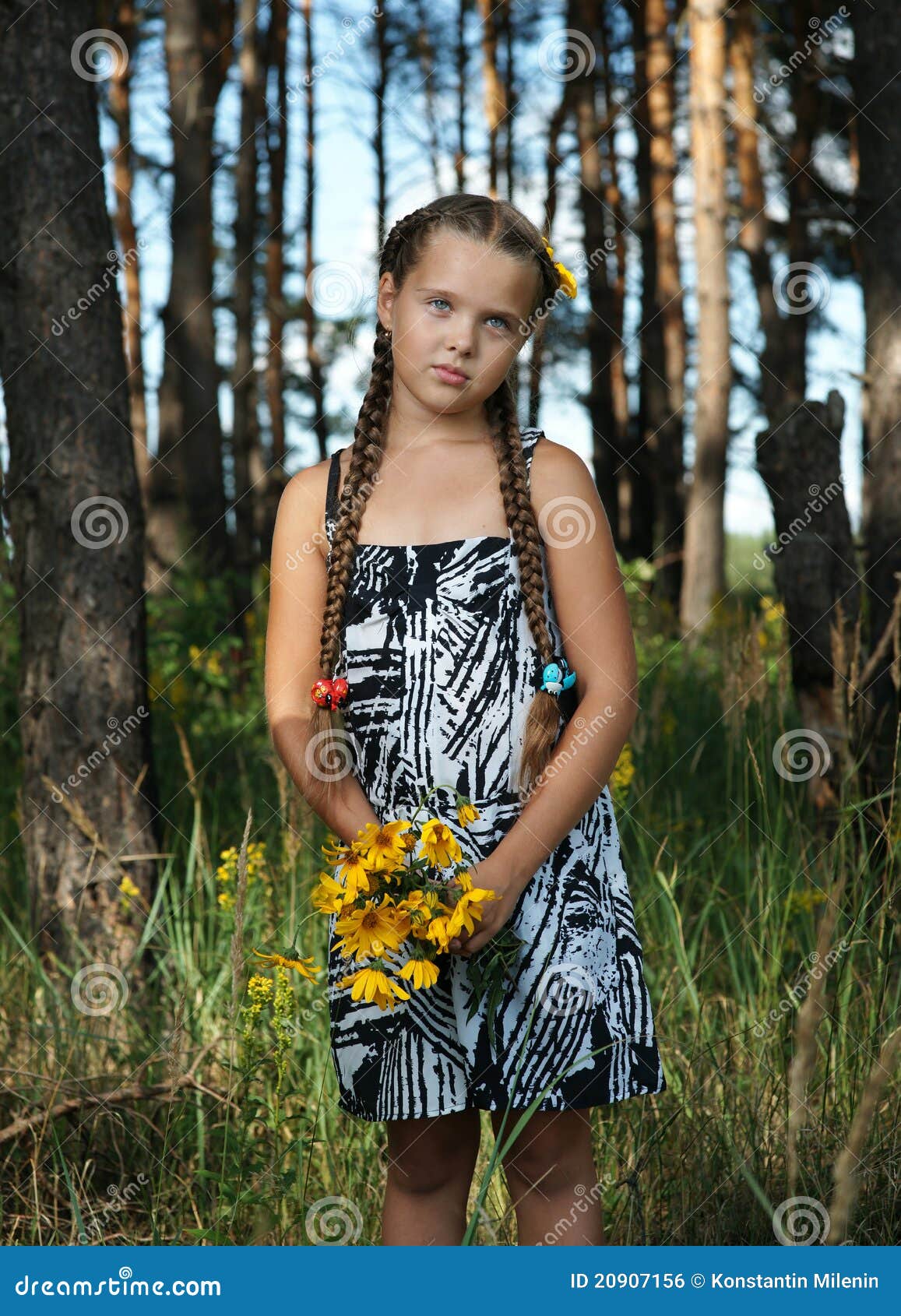 The girl in wood stock photo. Image of maid, holidays - 20907156