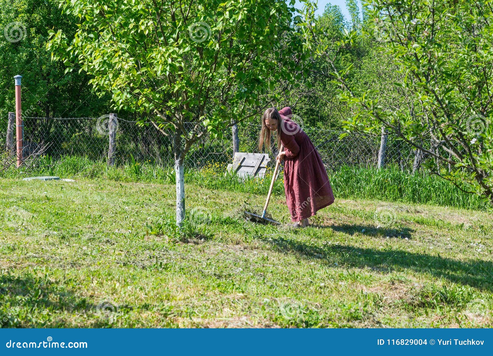 Work on the plot of land stock photo. Image of rake - 116829004