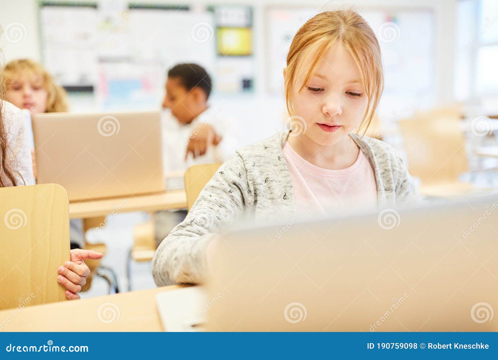 Girl Works Concentrated at the Laptop Stock Photo - Image of young ...
