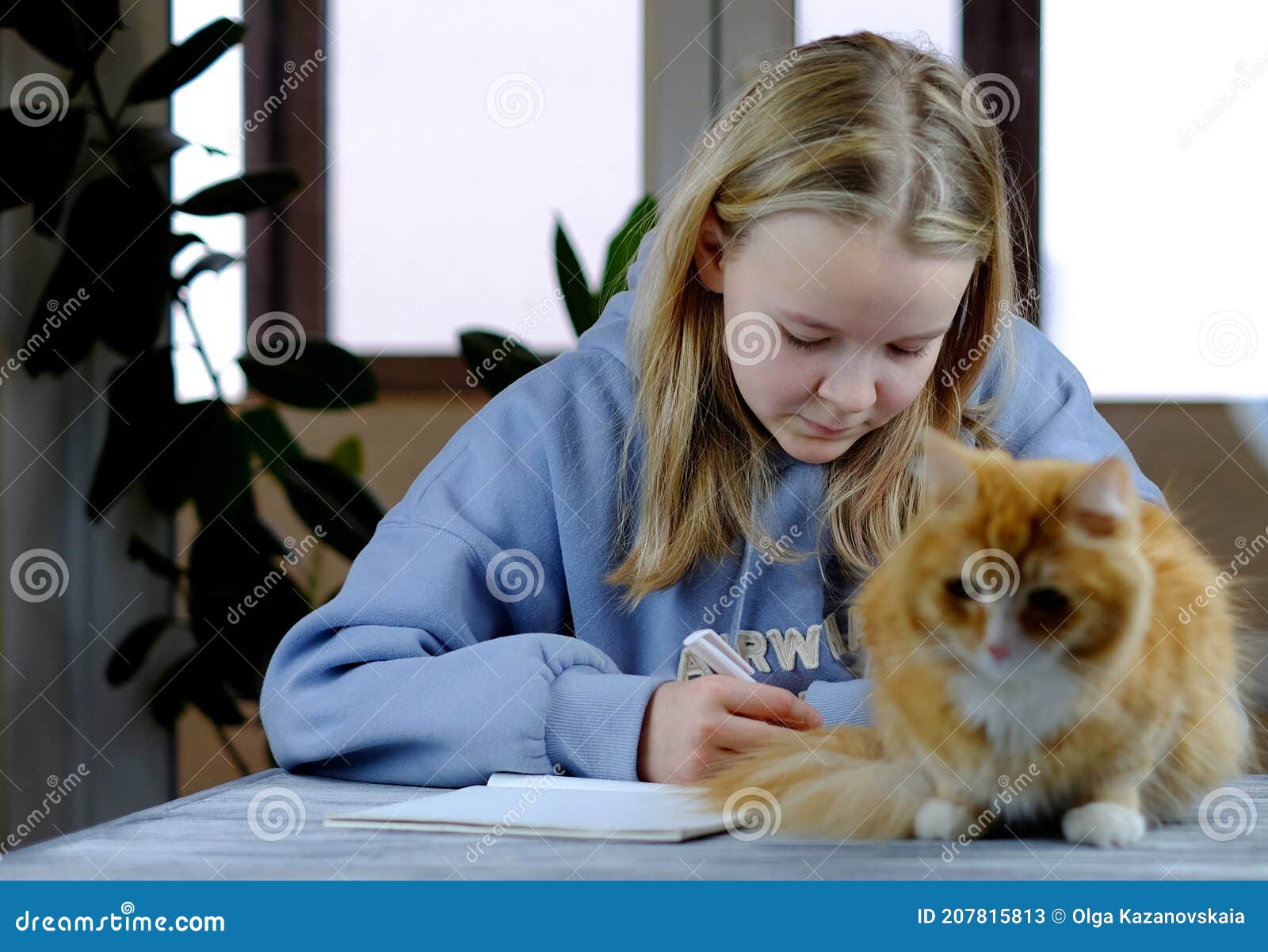 Girl Writing Task and Cat Sitting on the Table, Studing at Home ...