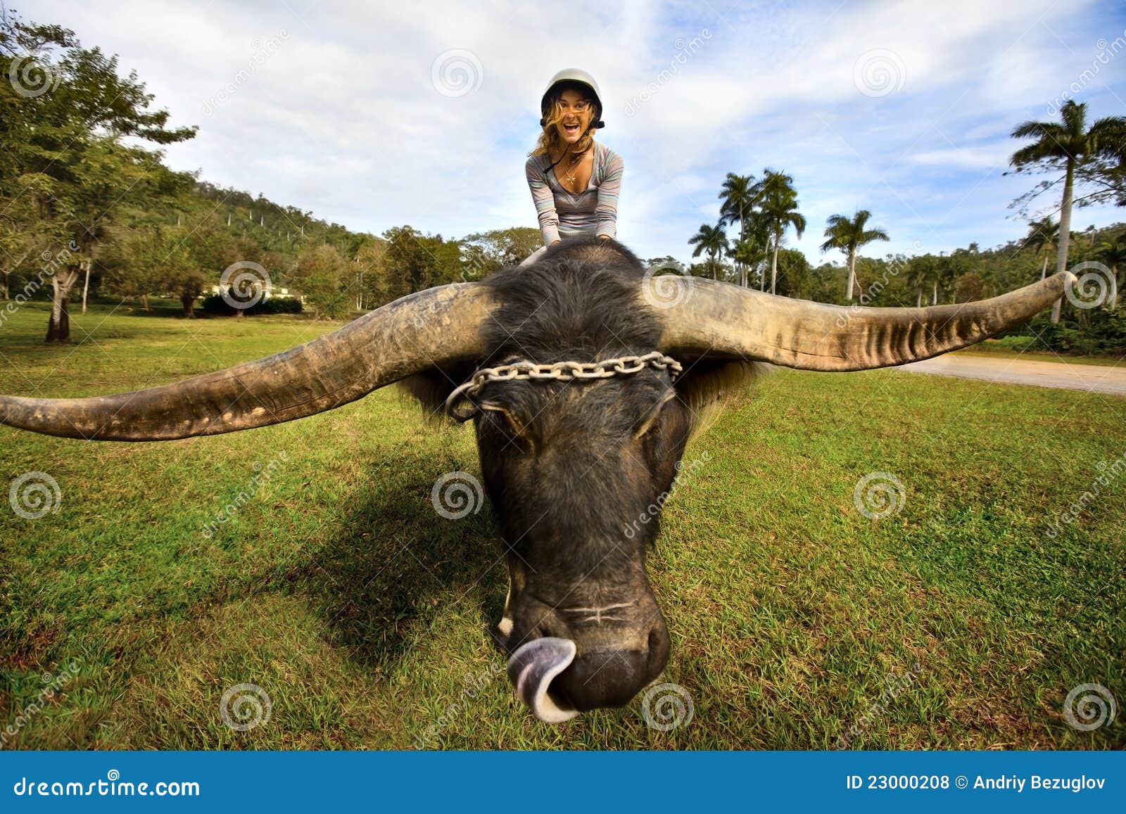 Girl on yak stock photo. Image of travel, green, clouds - 23000208