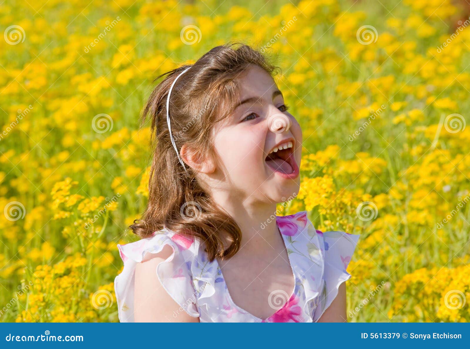 659 Yell Flower Stock Photos - Free & Royalty-Free Stock Photos from ...