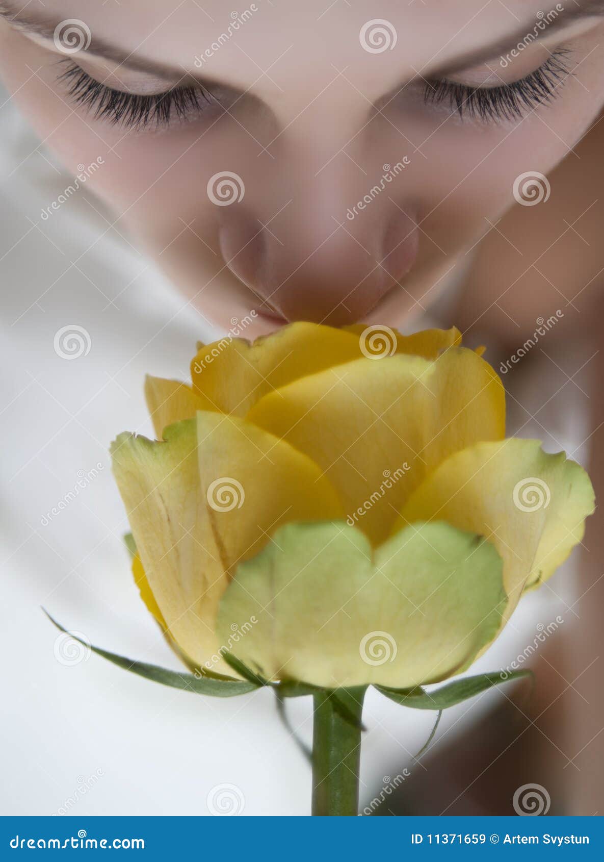 Girl and yellow rose stock image. Image of woman, nature - 11371659