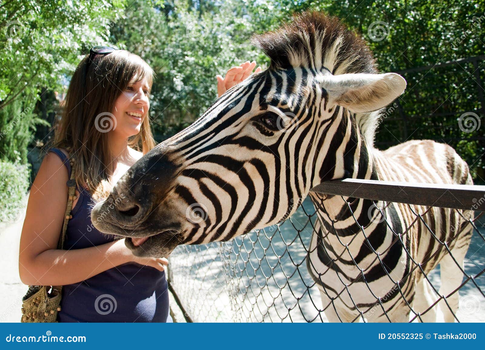 Girl and zebra stock image. Image of area, bush, foliage - 20552325